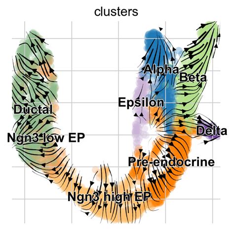 Embedding Stream Interpretation · Issue 585 · Theislabcellrank · Github