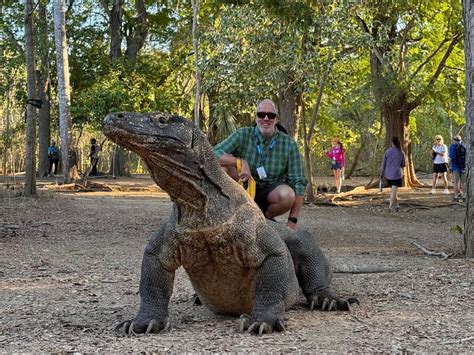 Seeing Komodo Dragons On A Cruise