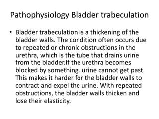 Pathophysiology Of Lower Urinary Tract Obstruction Pptx