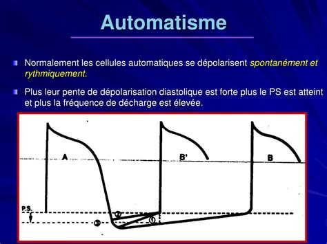 Ppt Électrophysiologie Cardiaque Powerpoint Presentation Free
