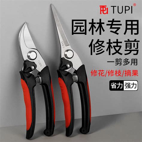 日本進口sk5園藝剪刀粗枝剪樹枝專用果樹修枝修花藝花剪園林剪枝 蝦皮購物