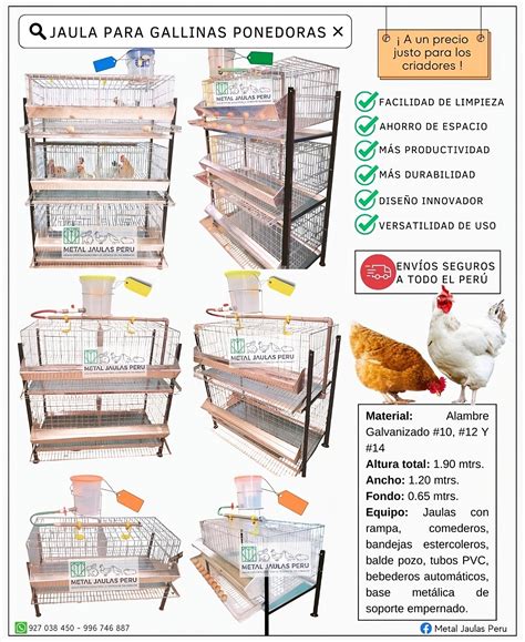 Metal 🐔💛¡potencia Tu Criadero De Gallinas Ponedoras Con Nuestras