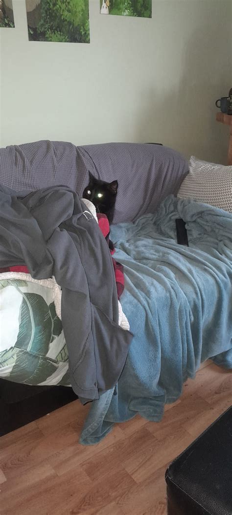 Looks Like She Is Under The Blankets Album On Imgur