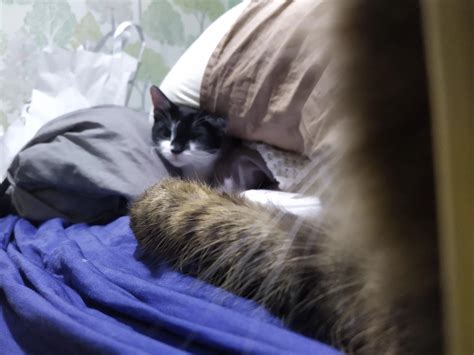 The Great Stand Off Scrolller