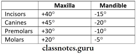 Intraoral Radiographic Techniques Long Essays Class Notes