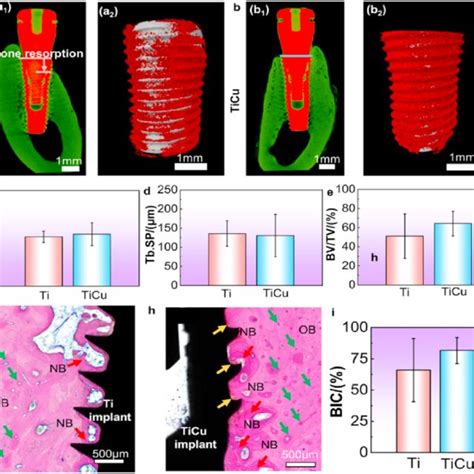 Biosafety Analysis In The Infection Model A And B Download Scientific Diagram