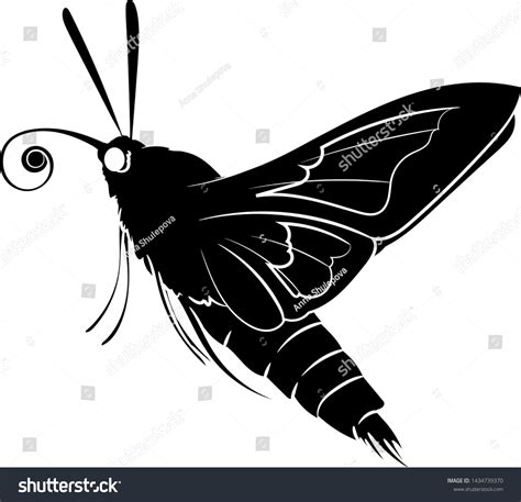 Silhouette Flying Moth Graphic Drawing Vector Stock Vector Royalty Free 1434739370