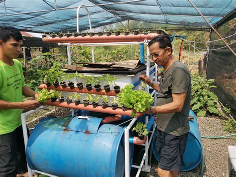 Bfar Nfftc Organic Aquaculture