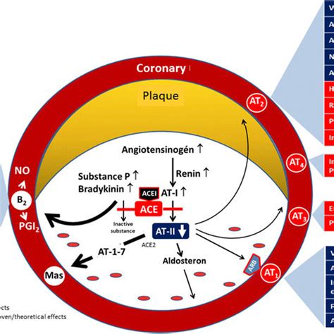 Relative Cox 1cox 2 Selectivity Of Various Nonselective Nsaids Note