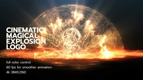 Explode Logo Profile For Flower Explosion Veenendaal