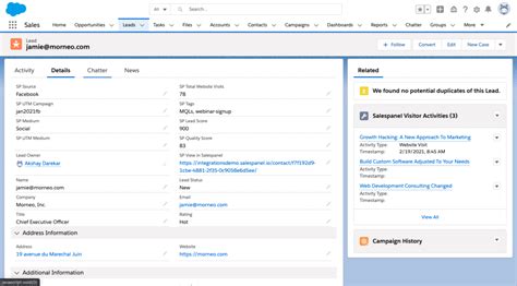 How To Track Lead Sources In Salesforce Salespanel