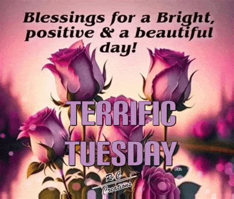 Terrific Tuesday  Terrific Tuesday Discover And Share S