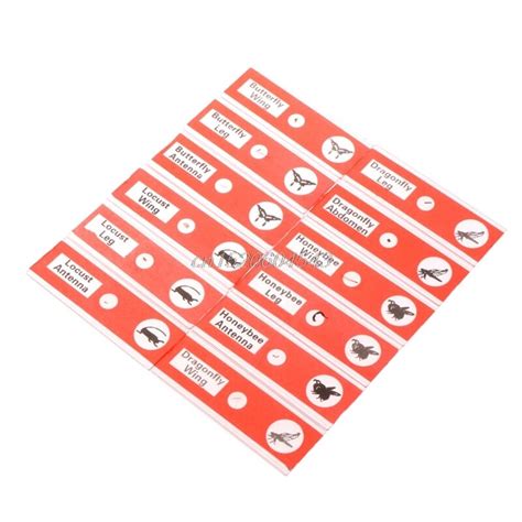 12 Pcs Prepared Microscope Slides Set Specimen For Grandado