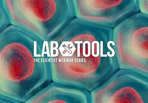 Realizing The Potential Of Spatial Biology For A Noncanonical Model