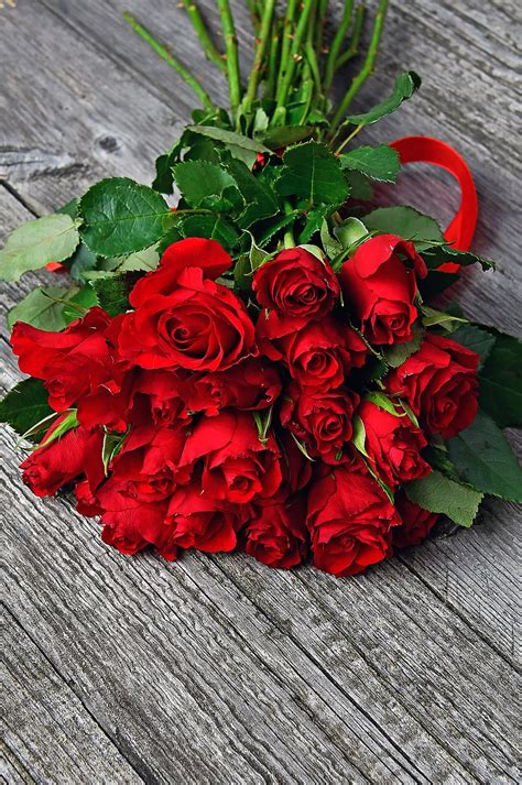 Romantic Love Rose Flower Images Best Flower Site