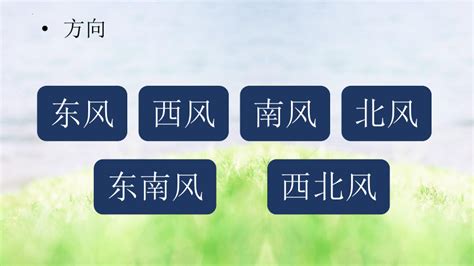 课文24风娃娃 （课件） 21世纪教育网