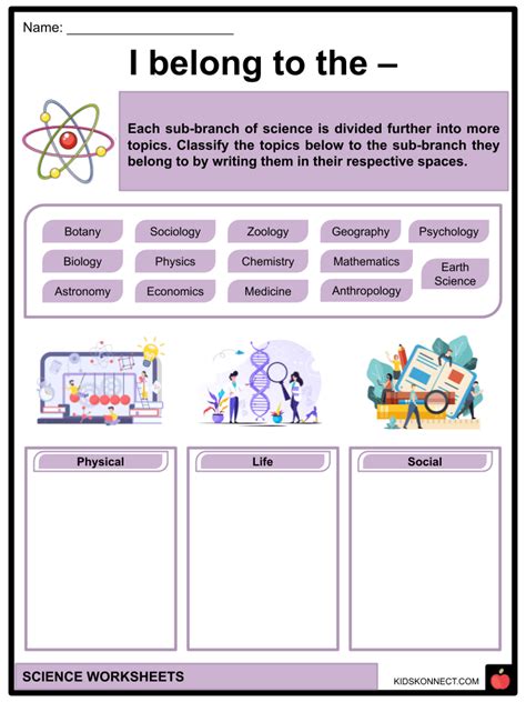 Science Worksheets The Scientific Method Branches Of Science