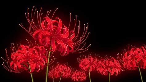 Spider Lilly Tokyo Ghoul Flower Anime Flower Tokyo Ghoul