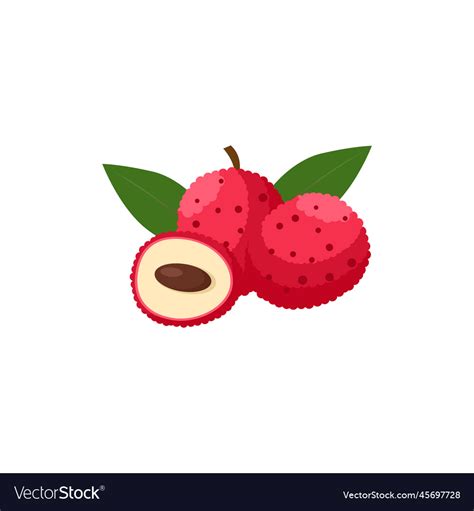 Lychee Flat Design Clip Art Royalty Free Vector Image