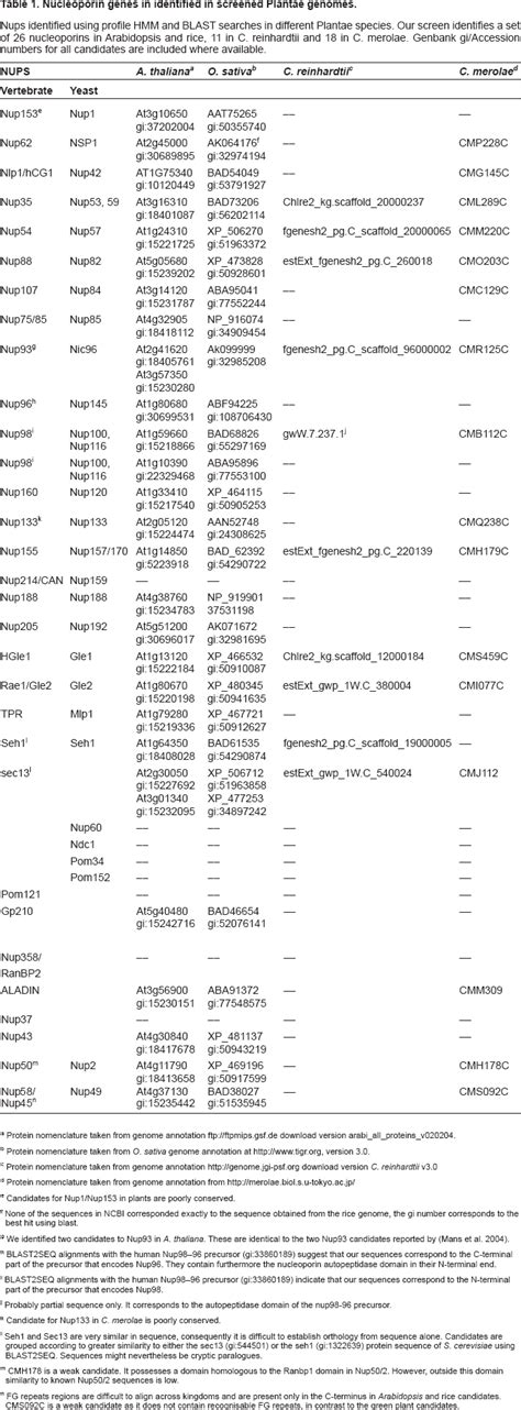 Nucleoporin Genes In Identified In Screened Plantae Genomes Nups Download Scientific Diagram