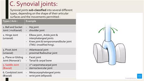 Kinesiology Types Of Joints Pptx