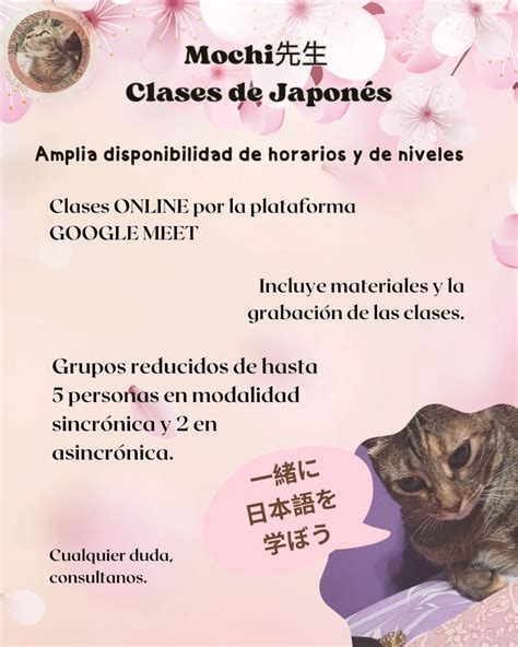 Mochi Sensei Japonés 🐱 Sumate A Nuestros Cursos Online De Idioma