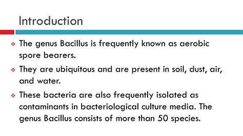 Solution The Genus Bacillus Bacillus Anthrax Studypool