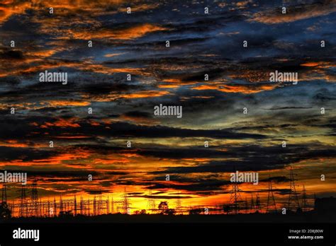 Beautiful Nature Backlit Photography During Evening Backlit Photo For