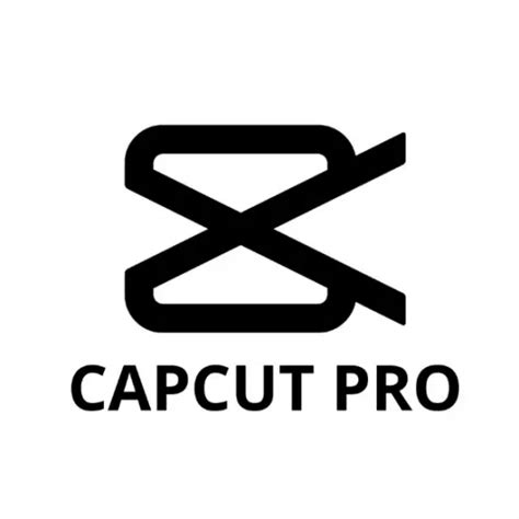 Capcut Pro Windows Pc Premium Pro Software Price In Bangladesh