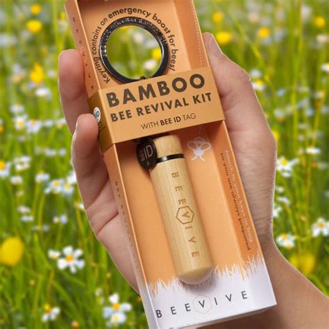 Beevive Bee Revival Kit Keyring Bamboo Bees Butterflies And Bugs