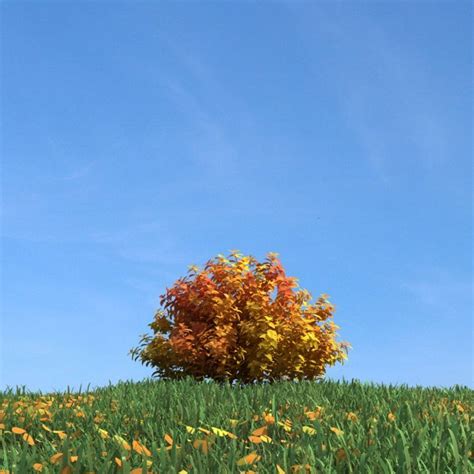 Trees Archmodels Vol 100 Evermotion