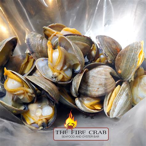 Live Manila Clams The Fire Crab