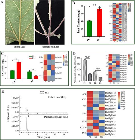 Key Physiological Indicators And Gene Expression Patterns Between