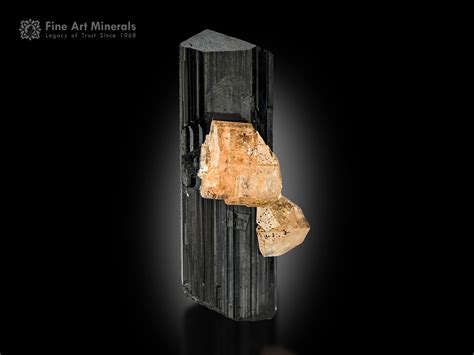 Schorl With Apatite Pakistan T Scr 60 Fine Art Minerals