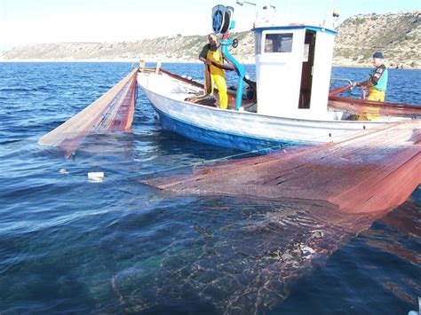 Más Oportunidades Para La Pesca Artesanal En Ibiza Y Formentera ¿qué