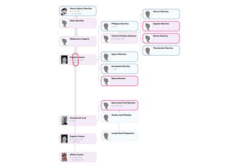 Displaying Spouses · Issue 40 · Magicsunday Webtrees Descendants Chart · Github