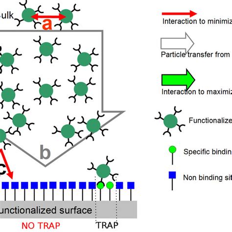 Schematic Representation Of A Nanopatterned Surface Where The Download Scientific Diagram
