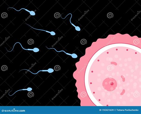 Human Fertility Concept Stock Vector Illustration Of Center 192421639