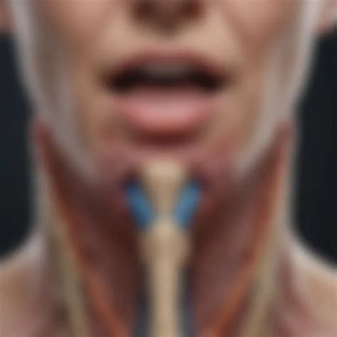 Thyroid Atrophy Insights Into Thyrotoxicosis