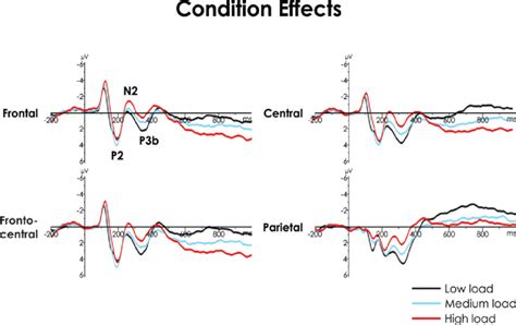 Grand Averaged Erp Waveforms Collapsing Across Language To Show The Download Scientific Diagram