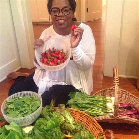 Inside Of Oprah Winfreys Maui Garden Black Girls With Gardens