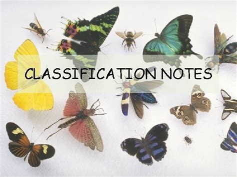 Classification Notes Classification Grouping Of Objects Based On