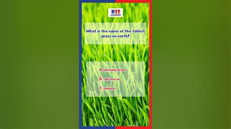 Kto12 Lessons Trivia Questions Part 1 Youtube