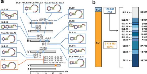 Spliced Leaders Usage Frequency A Genomic Location Of All C Elegans Download Scientific