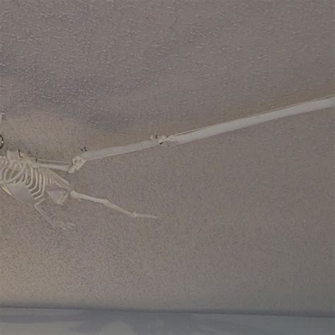 3d Print Of Pteranodon Skeleton By Platime3d