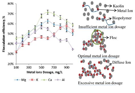 The Effect Of Multivalent Metal Ions Dosage On Flocculation Efficiency