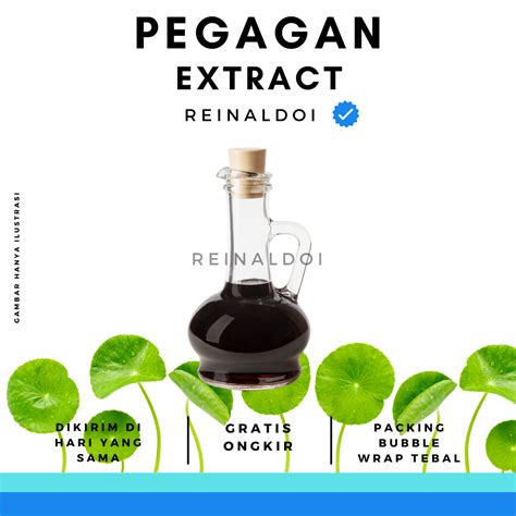 Jual Centella Asiatica Extract Ekstrak Pegagan 100 Ml Shopee Indonesia