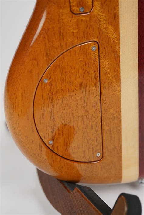 Alembic Essence Five String Bass — Northern Lights Music