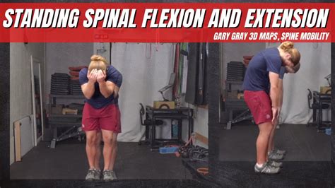 Standing Spinal Flexion And Extension Gary Gray 3d Maps Spine