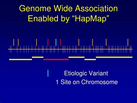 Ppt Genetic Approaches To Cleft Lip And Palate Common And Complex